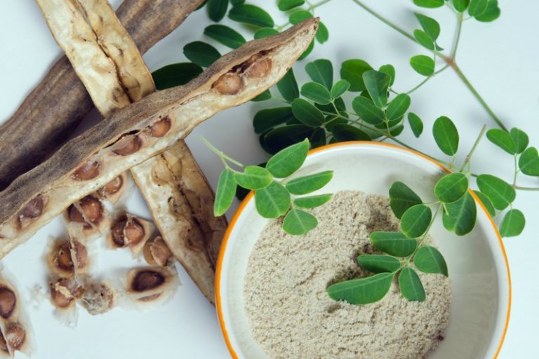 Moringa: Miracle tree for health and beauty ebasaia.com