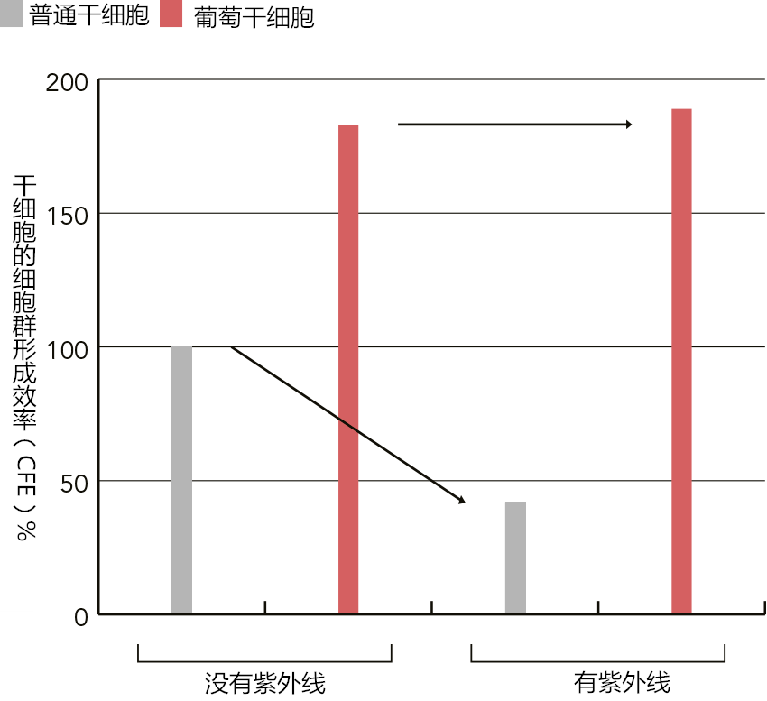 了解植物干细胞让您永葆青春 - Health and organic living style